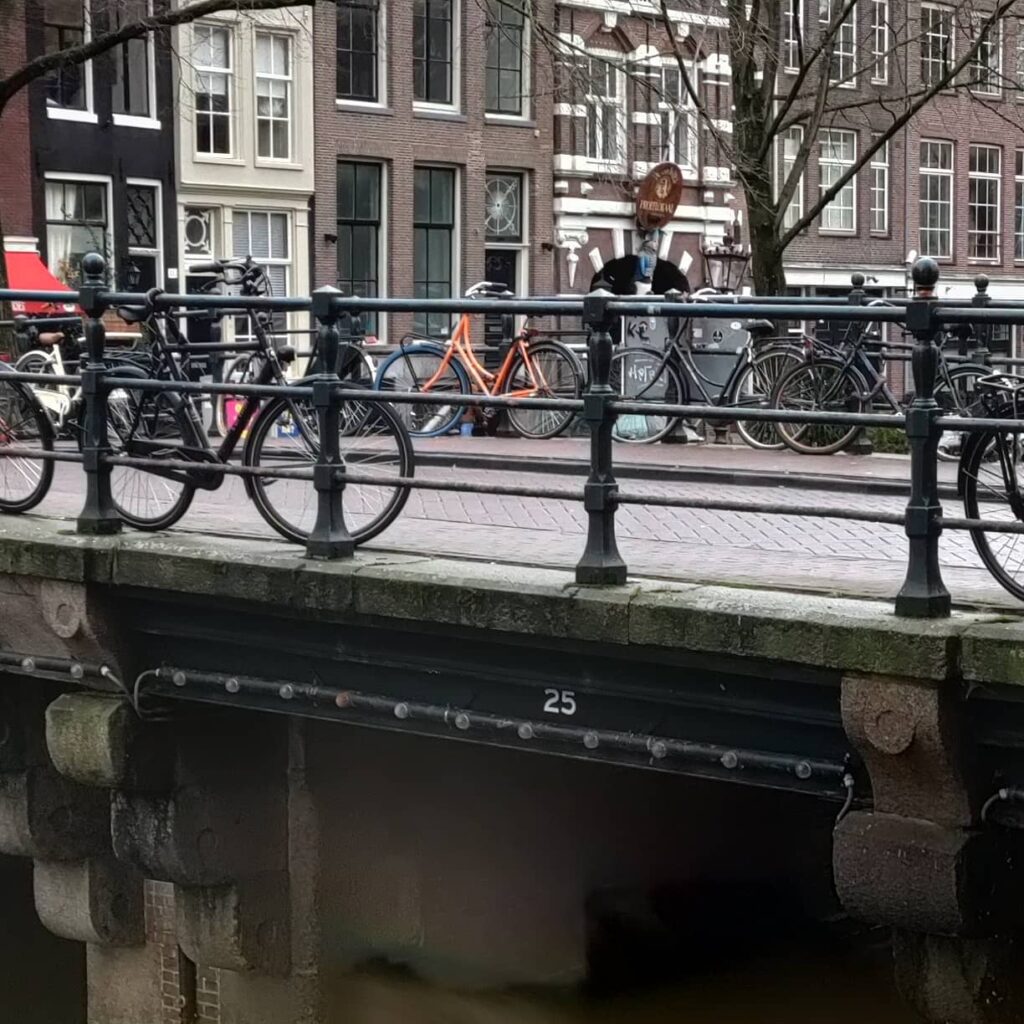 Brug Vijfentwintig - Bridge 25 | Amsterdam